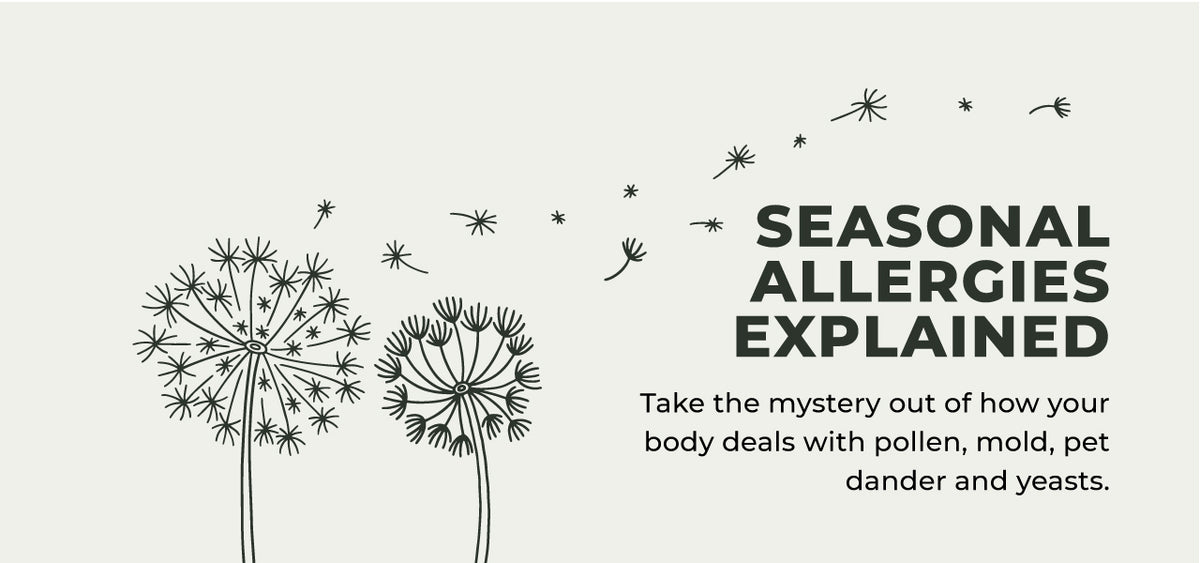 Seasonal Allergies Explained – Wholistic Health Restoration