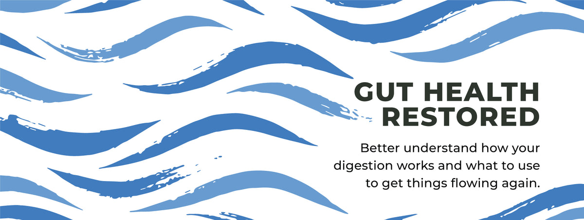 Gut Health Restored Part 1 - Digestion Series – Wholistic Health ...